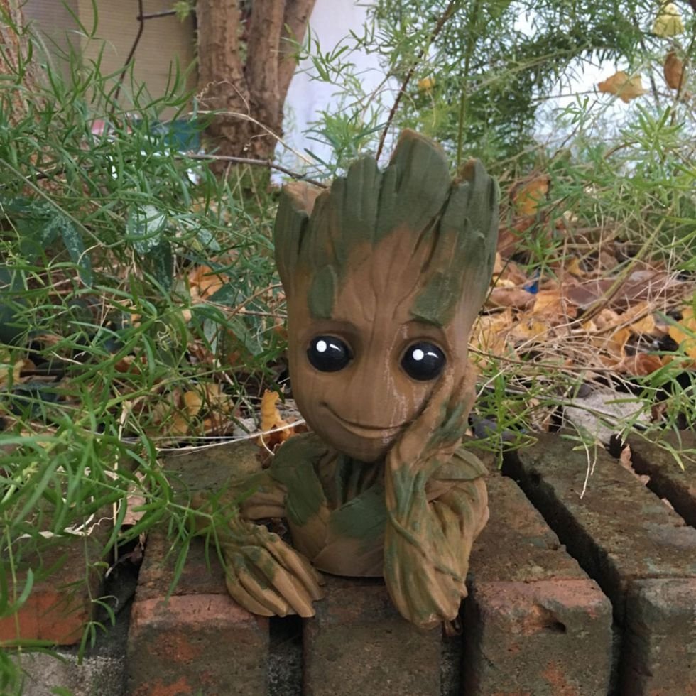 Maceta Groot / - Libria Store