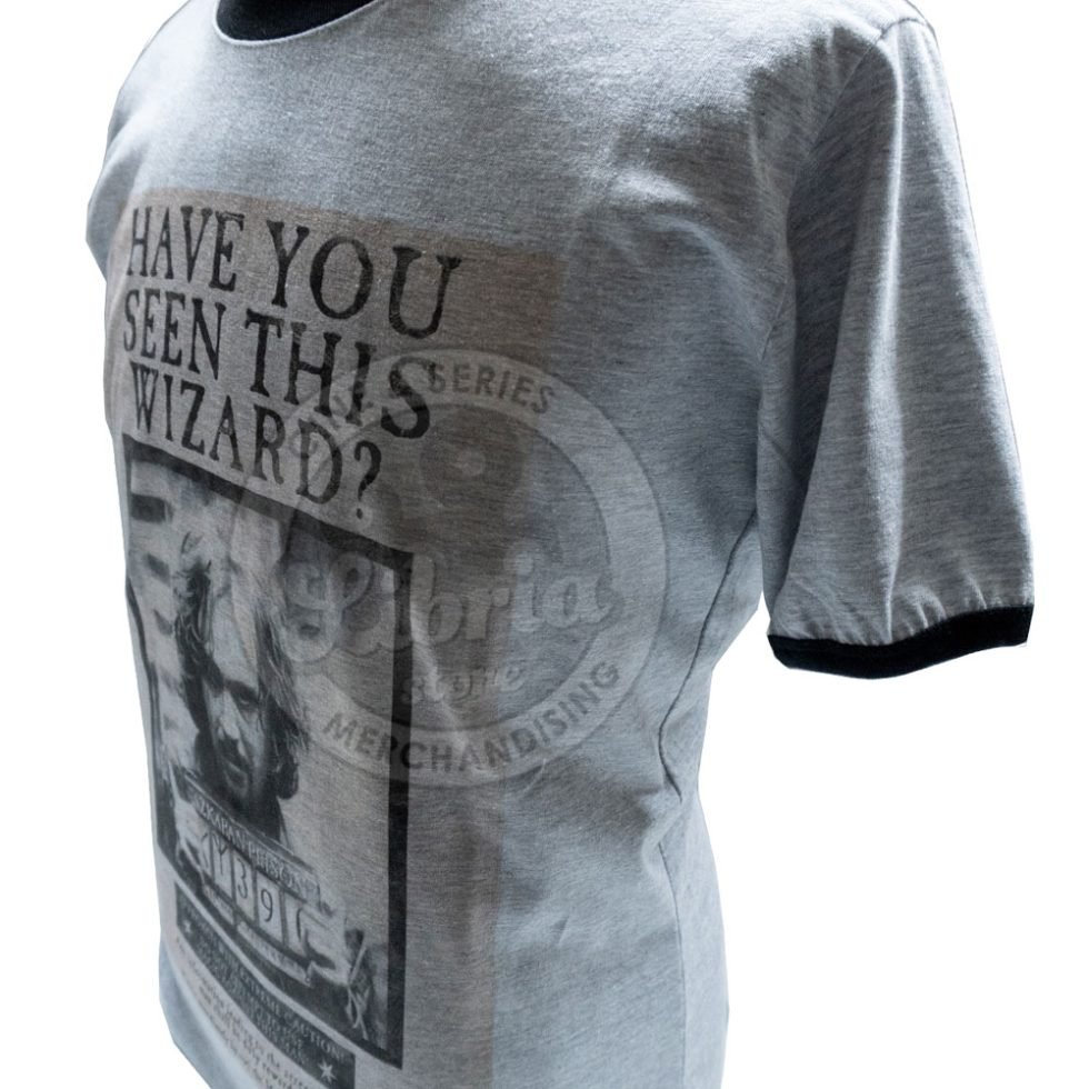 Remera Sirius "Have you seen this wizard?" / - Libria Store